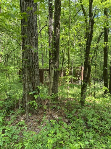 Best 10 Hikes and Trails in Ruffner Mountain Nature Preserve | AllTrails