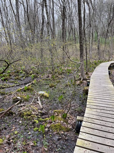 2023 Best Trails in Methuen | AllTrails