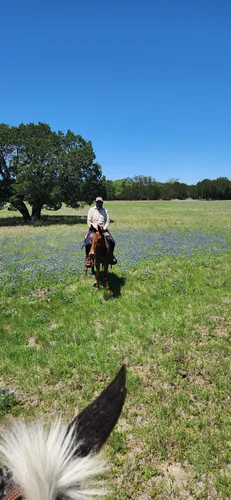 Best Hikes and Trails in Parrie Haynes Ranch | AllTrails