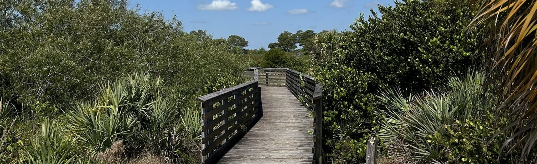 Jupiter Ridge Trail: 116 foto's - Florida | AllTrails