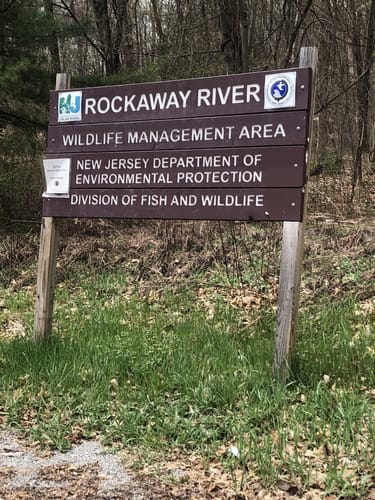 Best Hikes and Trails in Rockaway River State Wildlife Management Area ...
