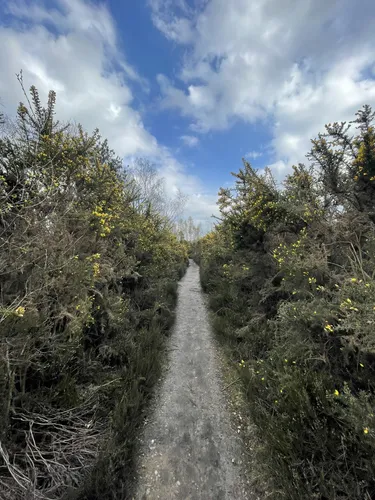 10 Best Mountain Biking Trails in Kent | AllTrails