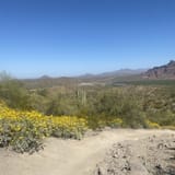 Hawes Trail System Loop, Arizona - 1,046 Reviews, Map | AllTrails
