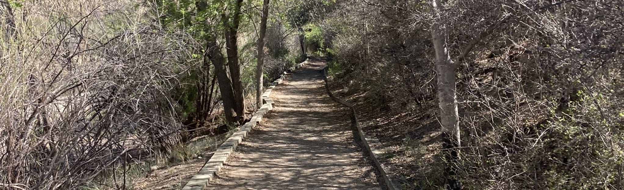 Paseo del Rio Trail, New Mexico - 56 Reviews, Map | AllTrails