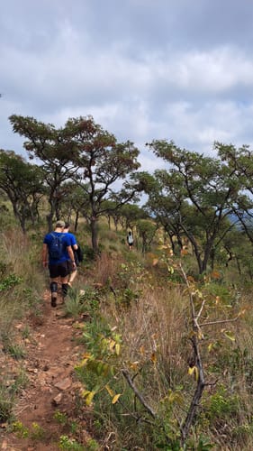 Best Hikes and Trails in De Wildt Adventure Trails | AllTrails
