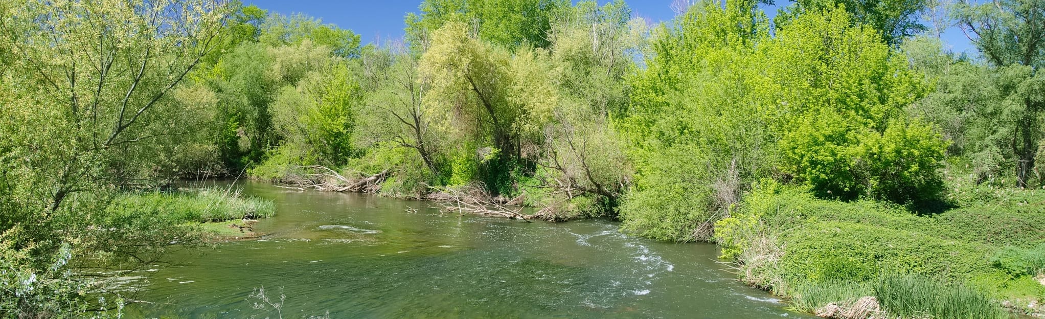 Laguna El Raso - Río Jarama: 16 foto's - Community of Madrid, Spanje ...