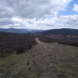 Scolty Hill, Aberdeenshire, Scotland - 102 Reviews, Map | AllTrails