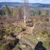 Scolty Hill, Aberdeenshire, Scotland - 102 Reviews, Map | AllTrails