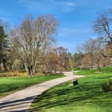 Dow Gardens Canopy Walk, Michigan - 138 Reviews, Map | AllTrails