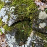 Russell Cave Trail, Alabama - 131 Reviews, Map | AllTrails