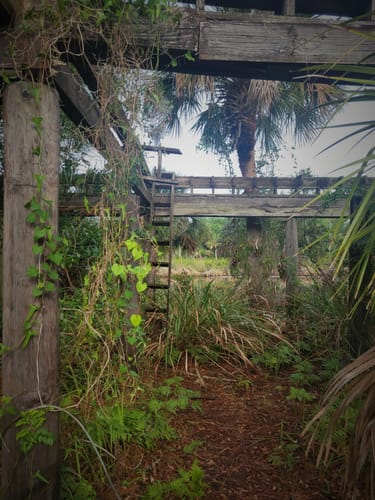 Best Hikes and Trails in Camp Bayou Nature Preserve | AllTrails