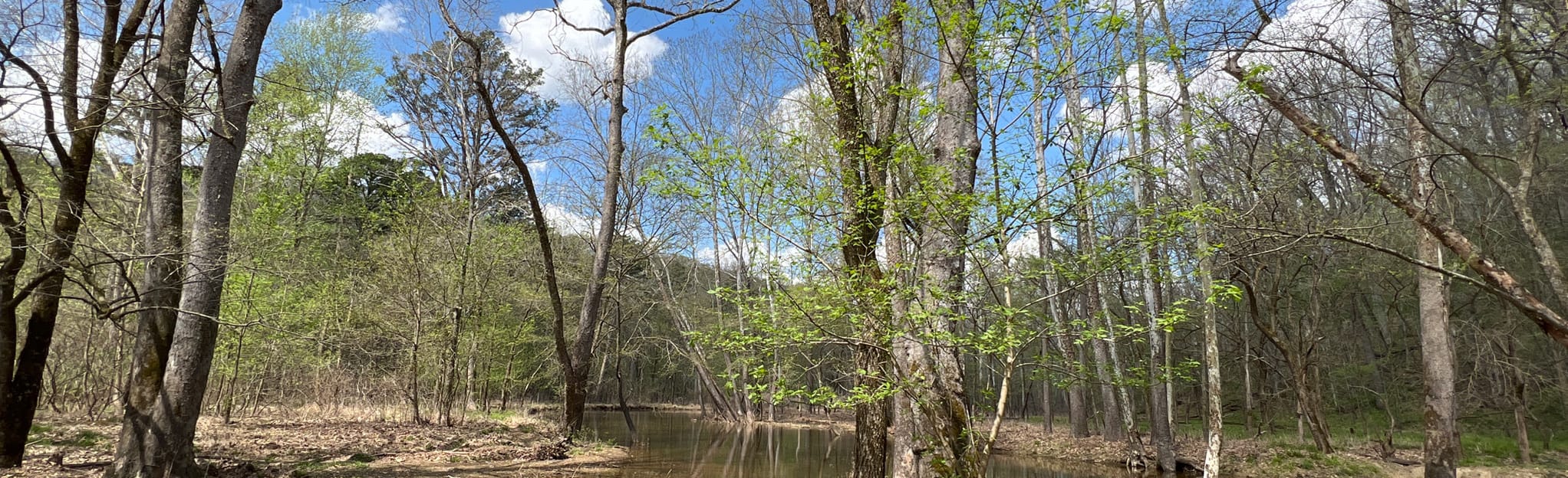 Patton Cave via Hayes and Patton Cave Trail, Indiana - 283 Reviews, Map ...