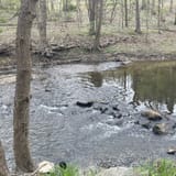 Struble Trail, Pennsylvania - 878 Reviews, Map | AllTrails