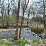 Struble Trail, Pennsylvania - 878 Reviews, Map | AllTrails