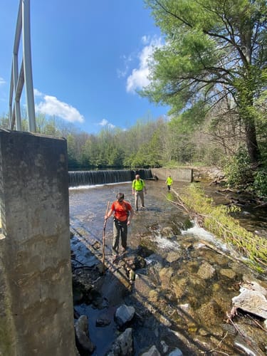 Best Hikes and Trails in The Hook Natural Area | AllTrails