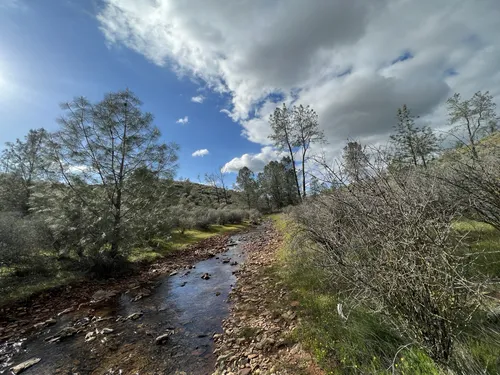 Best Hikes and Trails in Red Hills Recreation Management Area | AllTrails