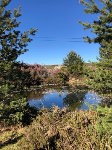 Best Hikes and Trails in Alvão Nature Park | AllTrails
