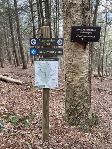 Best Hikes and Trails in Tyringham Cobble | AllTrails