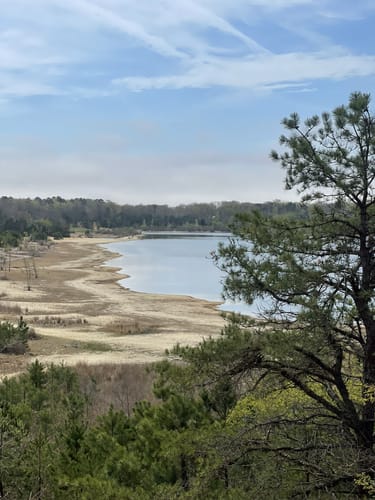 2023 Best Forest Trails in Egg Harbor Township | AllTrails