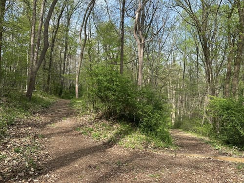 Best Hikes and Trails in Tyler Arboretum | AllTrails