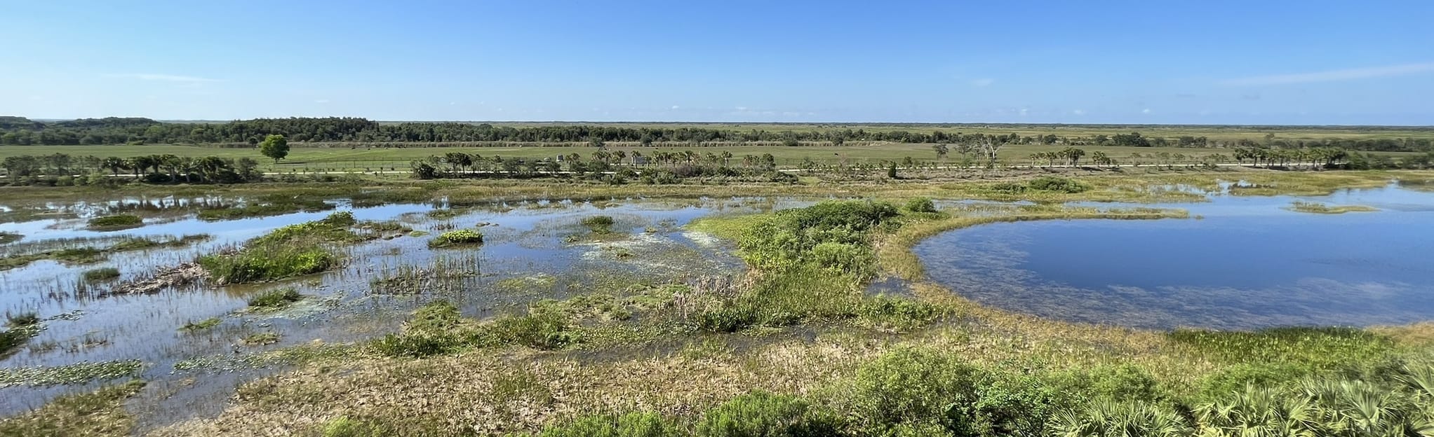 Wellington Environmental Inner Loop, Florida - 263 Reviews, Map | AllTrails