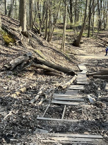 Best Hikes and Trails in Hinder Area | AllTrails