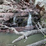 Barnhardt Trail, Arizona - 378 Reviews, Map | AllTrails