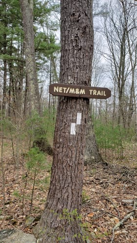 2023 Best Forest Trails in Wendell State Forest | AllTrails