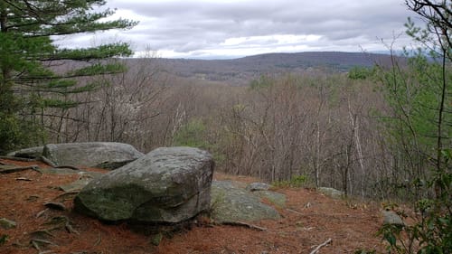 2023 Best Forest Trails in Wendell State Forest | AllTrails