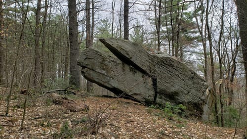 2023 Best Forest Trails in Wendell State Forest | AllTrails