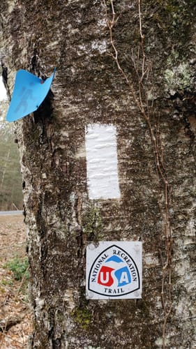 2023 Best Forest Trails in Wendell State Forest | AllTrails