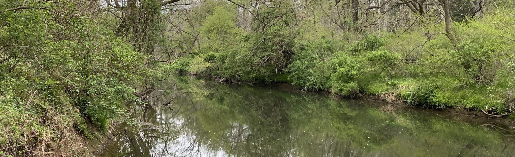 Bonner Park Loop, Pennsylvania - 225 Reviews, Map | AllTrails