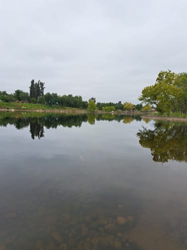 Best Hikes and Trails in Lindo Lake County Park | AllTrails