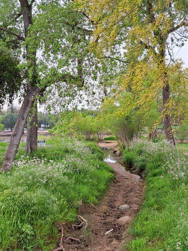 Best Hikes and Trails in Lindo Lake County Park | AllTrails