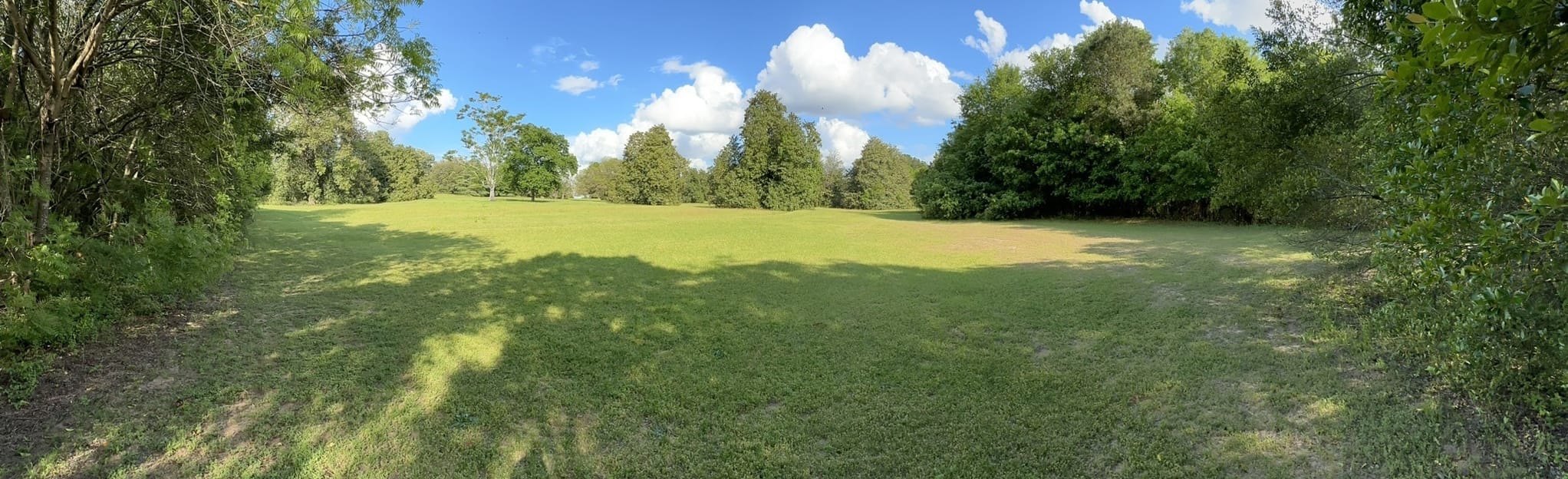 Redcliffe Plantation SHS Nature Trail: 32 Reviews, Map - South Carolina ...