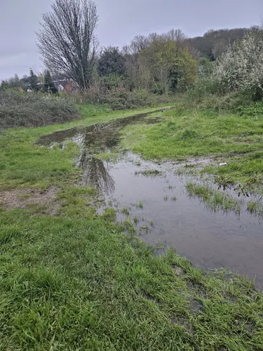 10 Best Walking Trails in Gloucester | AllTrails