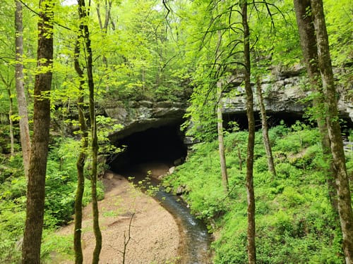 Best Hikes and Trails in Russell Cave National Monument | AllTrails