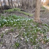 Illinois Prairie Path, Illinois - 208 Reviews, Map | AllTrails