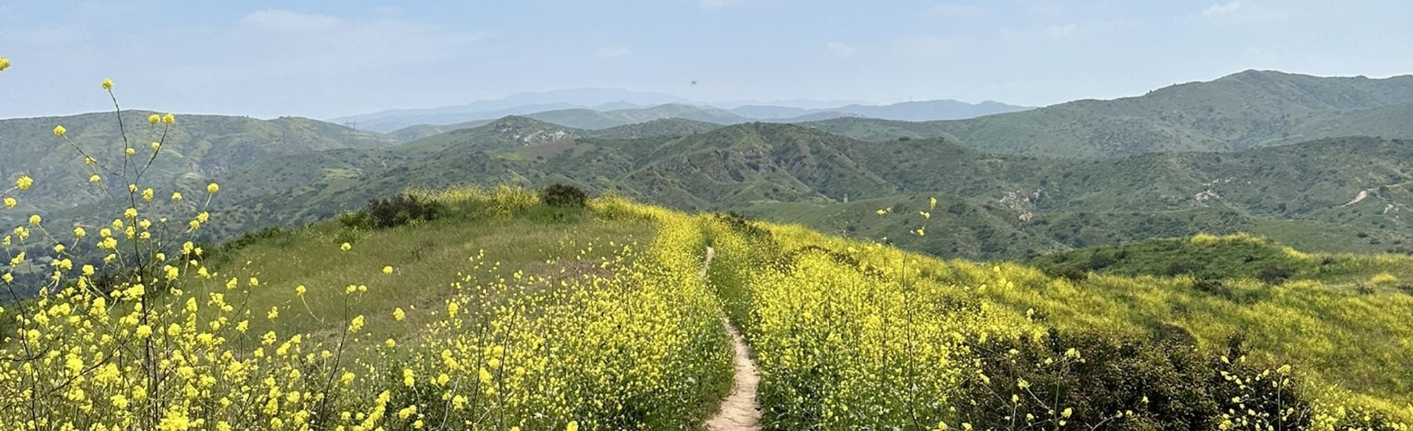 Weir Canyon to Robbers Peak to Yucca Ridge to Deer Trail: 249 Reviews ...