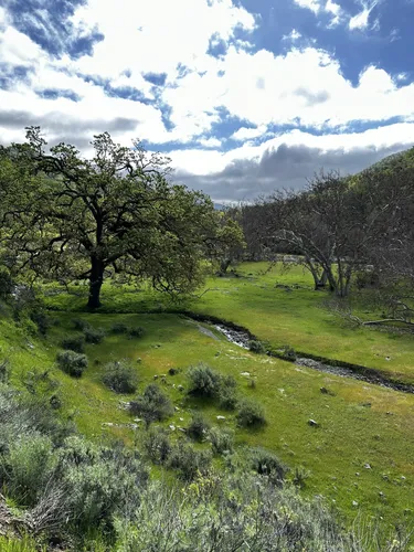10 Best Hikes and Trails in Sunol Wilderness Regional Preserve | AllTrails