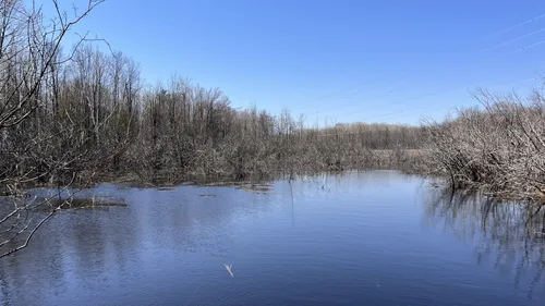 Best Easy Trails in Mer Bleue Conservation Area | AllTrails