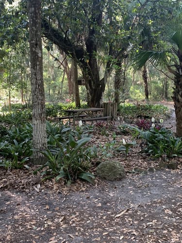 Best Hikes and Trails in Carney Island Recreation & Conservation Area ...