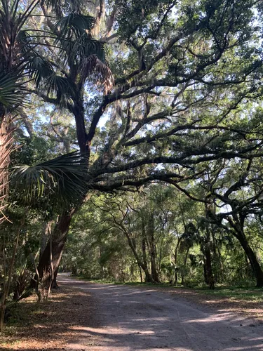 Best Hikes and Trails in Carney Island Recreation & Conservation Area ...