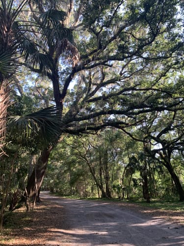 Best Hikes and Trails in Carney Island Recreation & Conservation Area ...