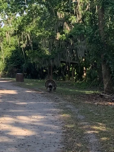 Best Hikes and Trails in Carney Island Recreation & Conservation Area ...