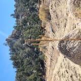 Turret Trail, Colorado - 315 Reviews, Map | AllTrails