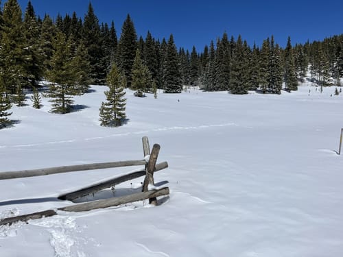 2023 Best Scenic Driving Trails in Pike National Forest | AllTrails