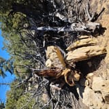 Turret Trail, Colorado - 315 Reviews, Map | AllTrails