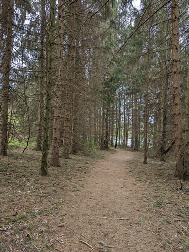 Best Hikes and Trails in Myeerah Nature Preserve | AllTrails