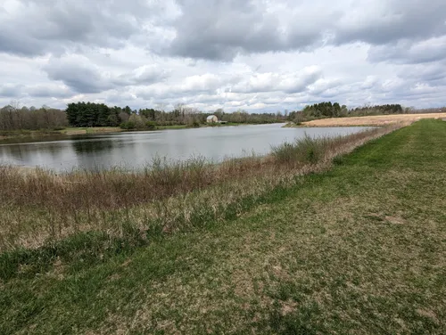 Best Hikes and Trails in Myeerah Nature Preserve | AllTrails